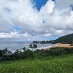 Famed North Shore Tour - Why This Tour Offers Great Value