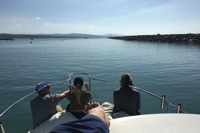Family and Private Group Whale and Dolphin Watching - The Experience: A Closer Look at the Itinerary