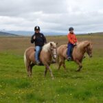 Family Friendly Horse Riding Tour in Skagafjörður - What Makes the Horses Special?