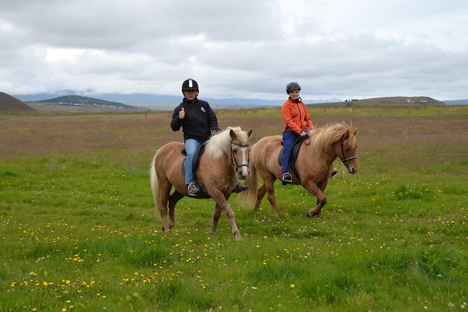 Family Friendly Horse Riding Tour in Skagafjörður - What Makes the Horses Special?