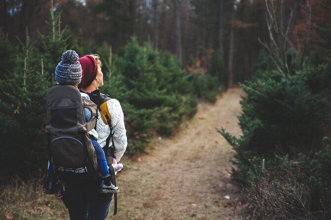 Family-Friendly Nature Hike around the Big Bear Valley - Is This Tour Worth the Price?