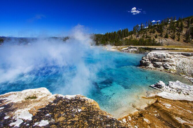 Family Friendly Private Tour at Yellowstone National Park w/Lunch - Authentic Perspectives from Travelers