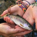 Family Fun Private Half Day Fly Fishing Adventure - The Detailed Itinerary: What to Expect