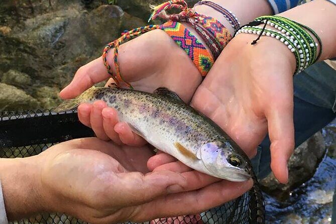 Family Fun Private Half Day Fly Fishing Adventure - The Detailed Itinerary: What to Expect