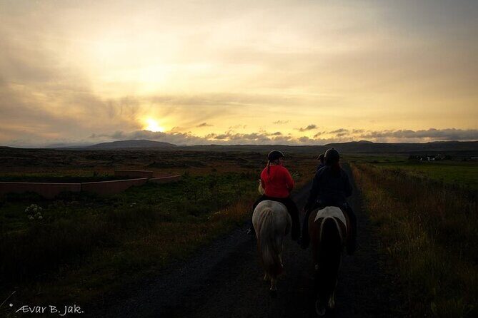 Family Horse Riding Tour in Thorlakshofn - Authenticity and Unique Features