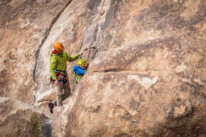 Family Rock Climbing Trips in Joshua Tree National Park (4 Hours) - What the Reviews Say