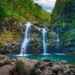 Famous Road to Hana Waterfalls and Lunch by Mercedes Van - Whats Included and Why It Matters