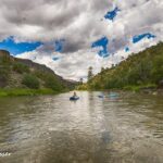 Far Flung Adventures Scenic Half-Day Float - The Experience in Review: Authentic Feedback