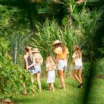 Farm and Food Experience in Kilauea - A Close Look at the Experience
