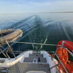 Faro: Half Day Private Tour in Ria Formosa Natural Park - Who This Tour Suits Best