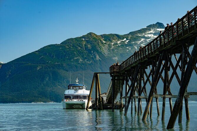 Fast Ferry - Haines Departure - Wildlife and Nature Insights