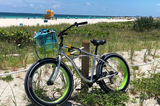 Fat Tire Bike Rental for Sand Riding - Breaking Down the Experience