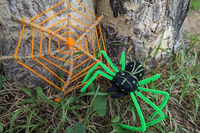 Felted Halloween Spider Art Class in Estes Park - The Itinerary and What to Expect