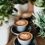 Fika Tour to hideaway cafés - Analyzing the Value & Experience
