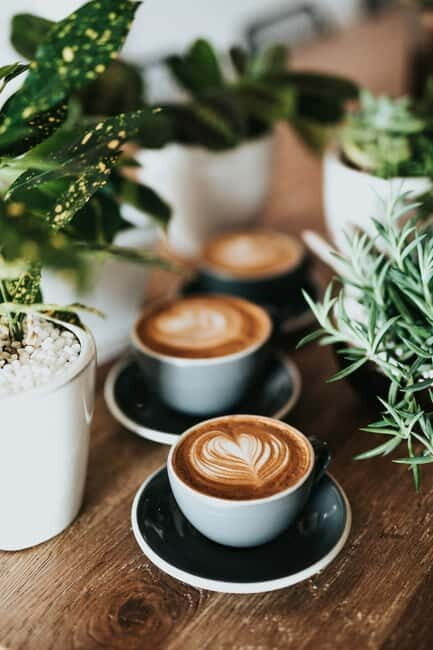 Fika Tour to hideaway cafés - Analyzing the Value & Experience
