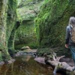 Find a hidden Glen in Scotland's woods - What Makes This Tour Stand Out