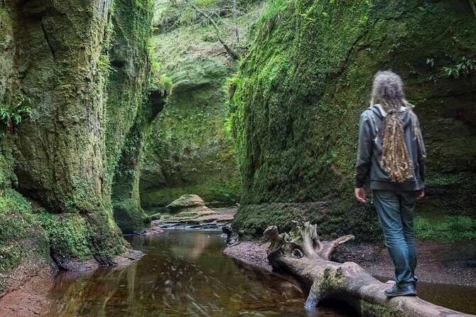 Find a hidden Glen in Scotland's woods - What Makes This Tour Stand Out
