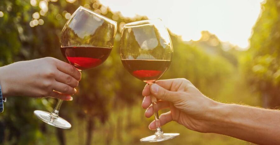 Fine Wining, Saturday - The Itinerary: A Closer Look