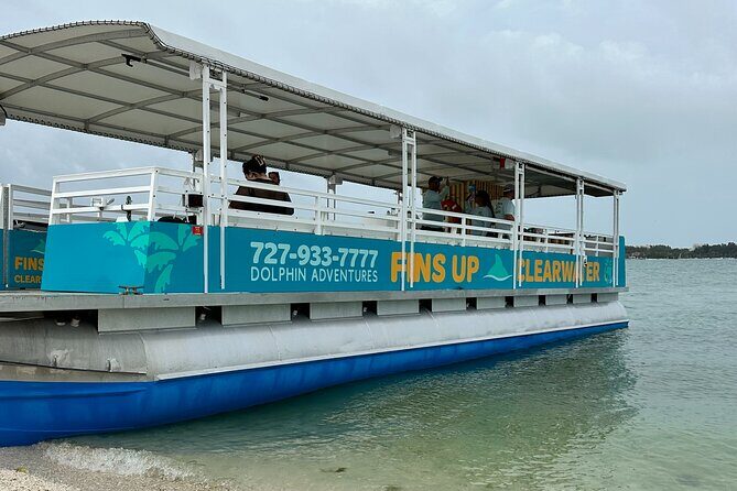 Fins Up - Dolphin & Island Sandbar Adventure in Clearwater Beach - What Travelers Say