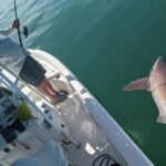 Fishing Charters - Fort Myers Beach / Naples - The Itinerary: What You Can Expect