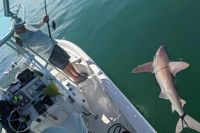 Fishing Charters - Fort Myers Beach / Naples - The Itinerary: What You Can Expect