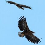 Fjord & History Cruise - A Closer Look at the Fjord & History Cruise