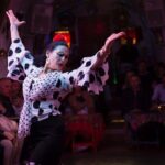 Flamenco Show in the Caves of Sacromonte - What to Expect During the Show