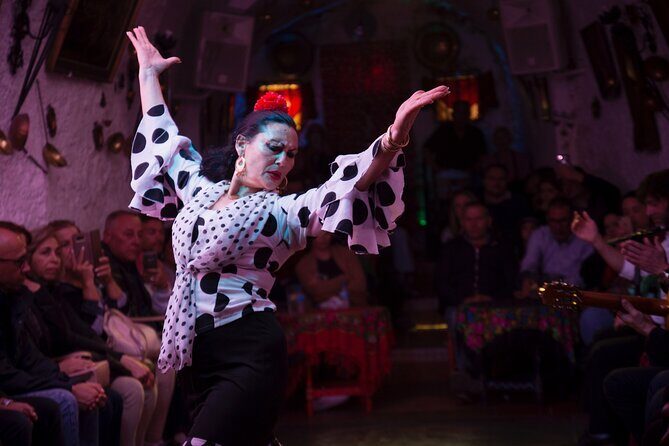 Flamenco Show in the Caves of Sacromonte - What to Expect During the Show