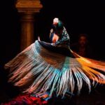 Flamenco Show "Museo de Baile Flamenco" - What to Expect from the Flamenco Show