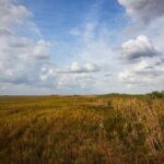 Flamingo Everglades Boat Tours - The Itinerary — What You’ll Experience