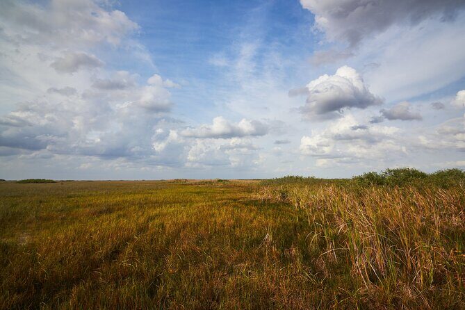 Flamingo Everglades Boat Tours - The Itinerary — What You’ll Experience