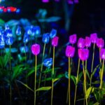 Flamingo Gardens' Garden of Lights - The Value: Pricing and Experience