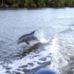 Flamingo Marina: Backcountry Boat Tour of the Everglades - An In-Depth Look at the Flavors of the Everglades