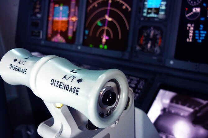 Flight Simulator Experience LONG RANGE 90 Minutes - Highlights of the Experience