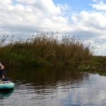 Florida Bioluminescent Kayak & Paddle Board Adventure - An In-Depth Look at the Bioluminescent Experience