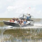 Florida Everglades Airboat Adventure and Wildlife Encounter - A Thorough Breakdown of the Experience