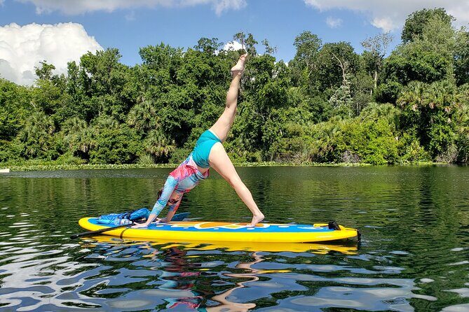 Florida Freshwater Springs Paddle Board Tour - Why Travelers Will Love This Experience
