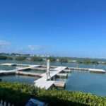 Florida Keys: Dockside Dolphin Experience - Value and Practicality