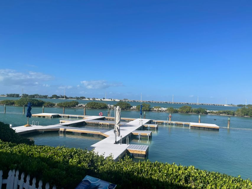 Florida Keys: Dockside Dolphin Experience - Value and Practicality