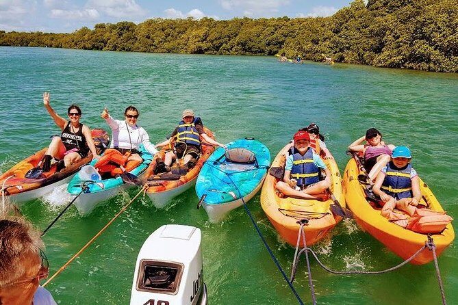 Florida Keys Eco Tour: Snorkel, Kayak, Lunch + Transportation! - The Experience From the Reviews