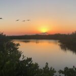 Florida Sunset and Bioluminescence Package - The Itinerary: What You Can Expect