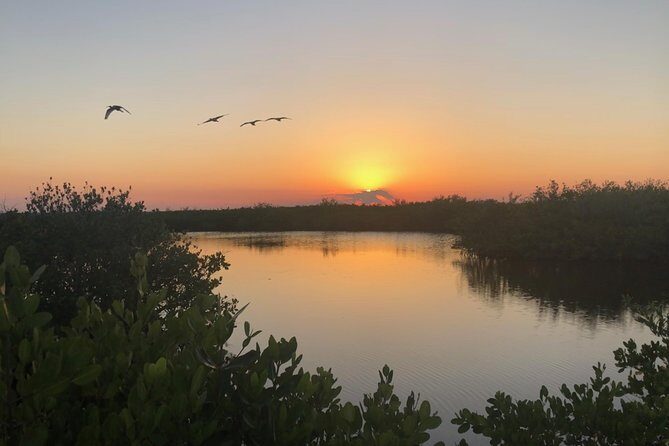 Florida Sunset and Bioluminescence Package - The Itinerary: What You Can Expect