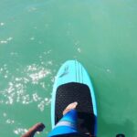 Fly Above Water Adventure in Sarasota. A Must Experience! - Why Choose This Tour? Highlights to Know