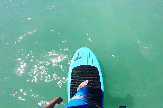 Fly Above Water Adventure in Sarasota. A Must Experience! - Why Choose This Tour? Highlights to Know