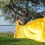 Flying Dress Photo Shoot in Madison WI - What Makes This Experience Stand Out?