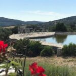 Food and Wine pairing Dinner at Karnas Vineyards Bodrum - Practical Tips for Visitors