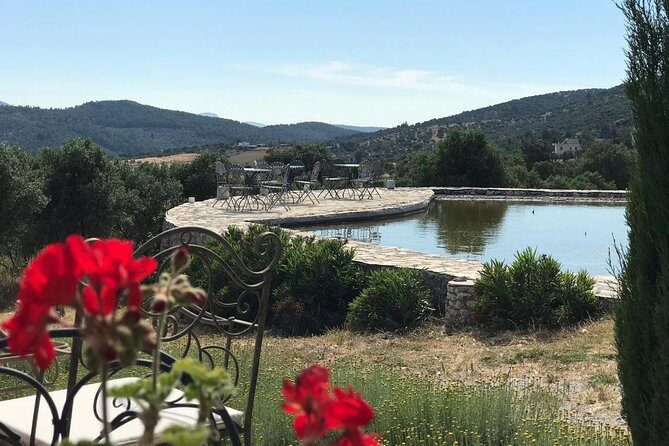 Food and Wine pairing Dinner at Karnas Vineyards Bodrum - Practical Tips for Visitors