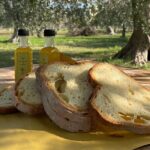 Food and Wine Tour between the Patriarchs Olives and the Oil Temples - The Bottom Line