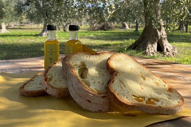 Food and Wine Tour between the Patriarchs Olives and the Oil Temples - The Bottom Line