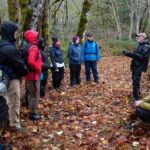 Foraging Tour of Edible Plants and Mushrooms in Brinnon - Is This Tour Worth the Cost?